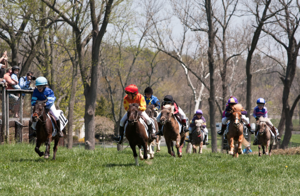 Introducing: LPT Junior Champions’ Day – Maryland Steeplechase Association